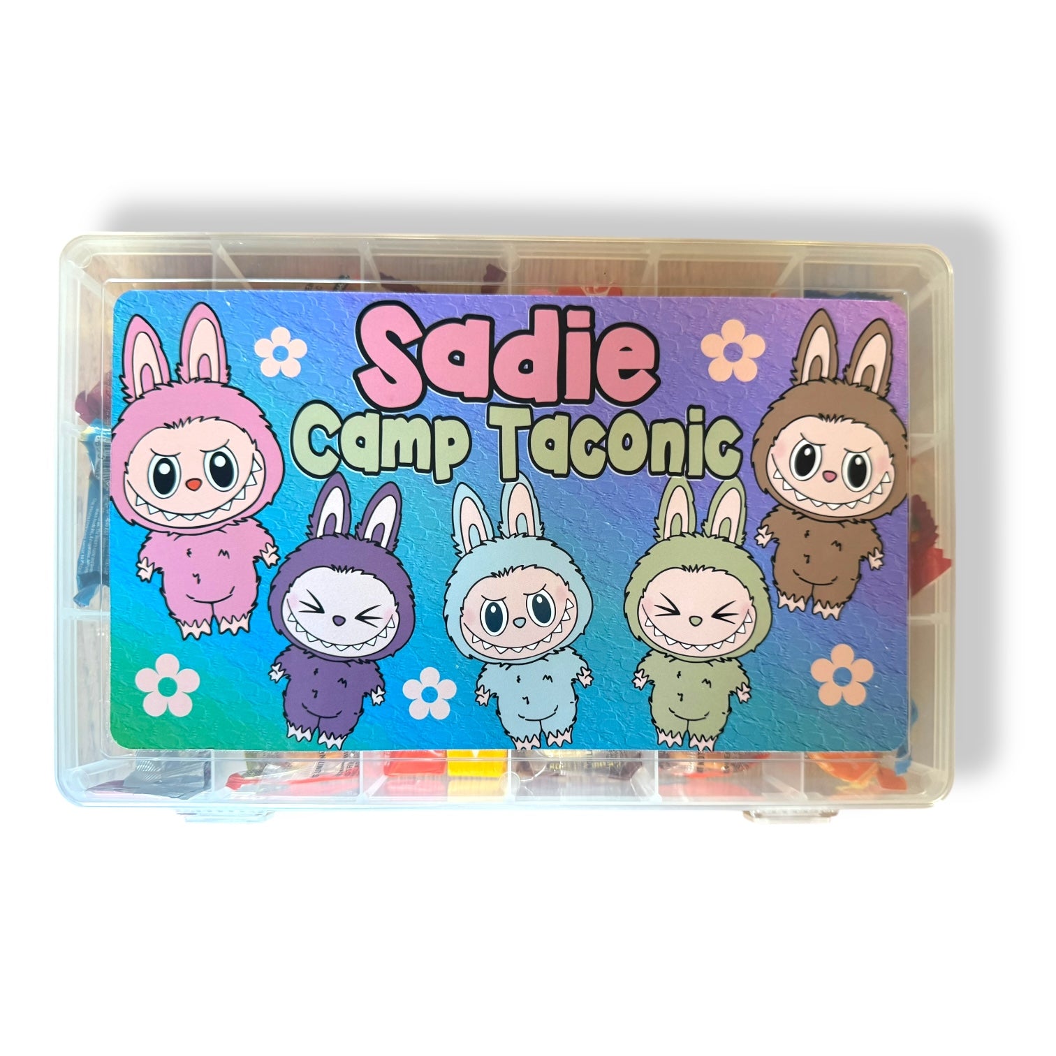 Labubu x LaBeeBee Large Candy Box – Bee Bee Designs